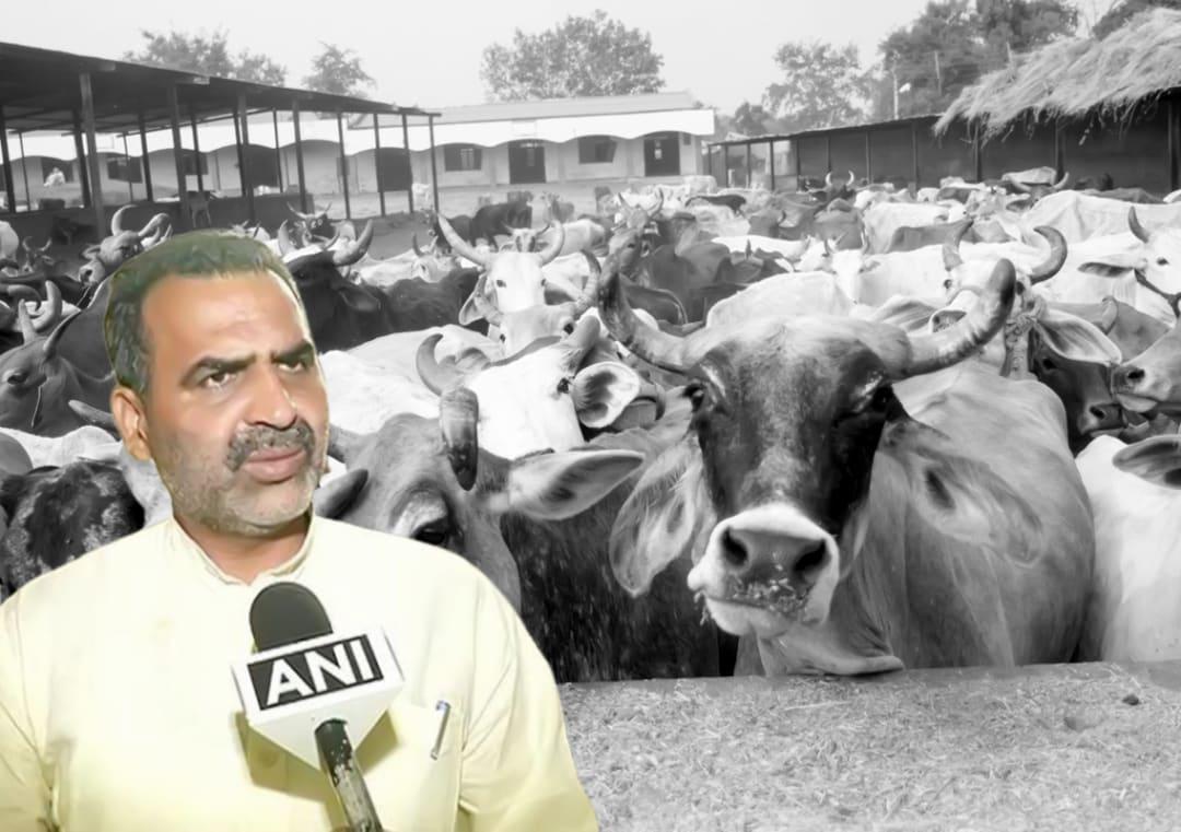 It's up to states to enact laws on cow slaughter: Government | National ...