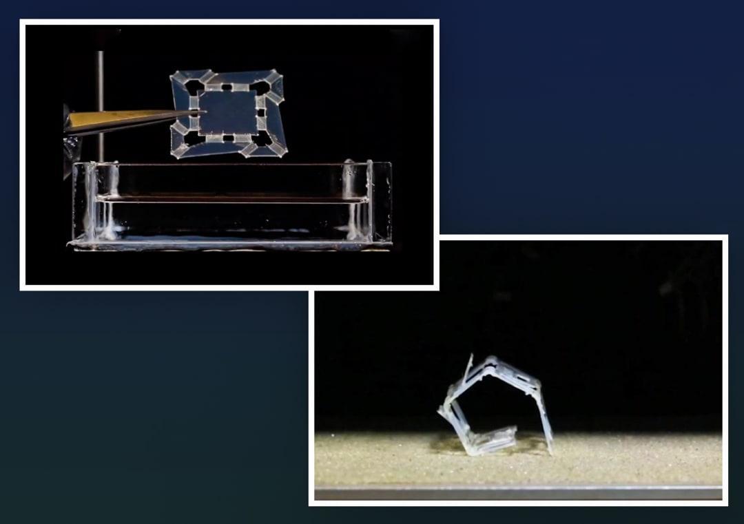 Self-folding robot inspired by origami changes shape with temp