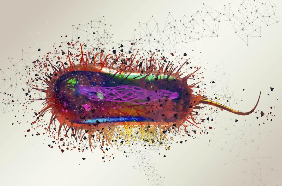 Scientists engineer E. coli bacteria to consume carbon dioxide ...