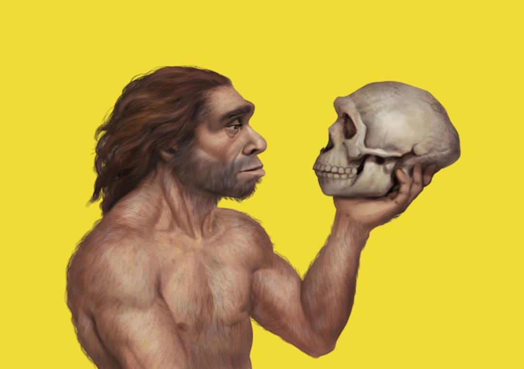Scientists link Neanderthal extinction to human diseases | Science News ...