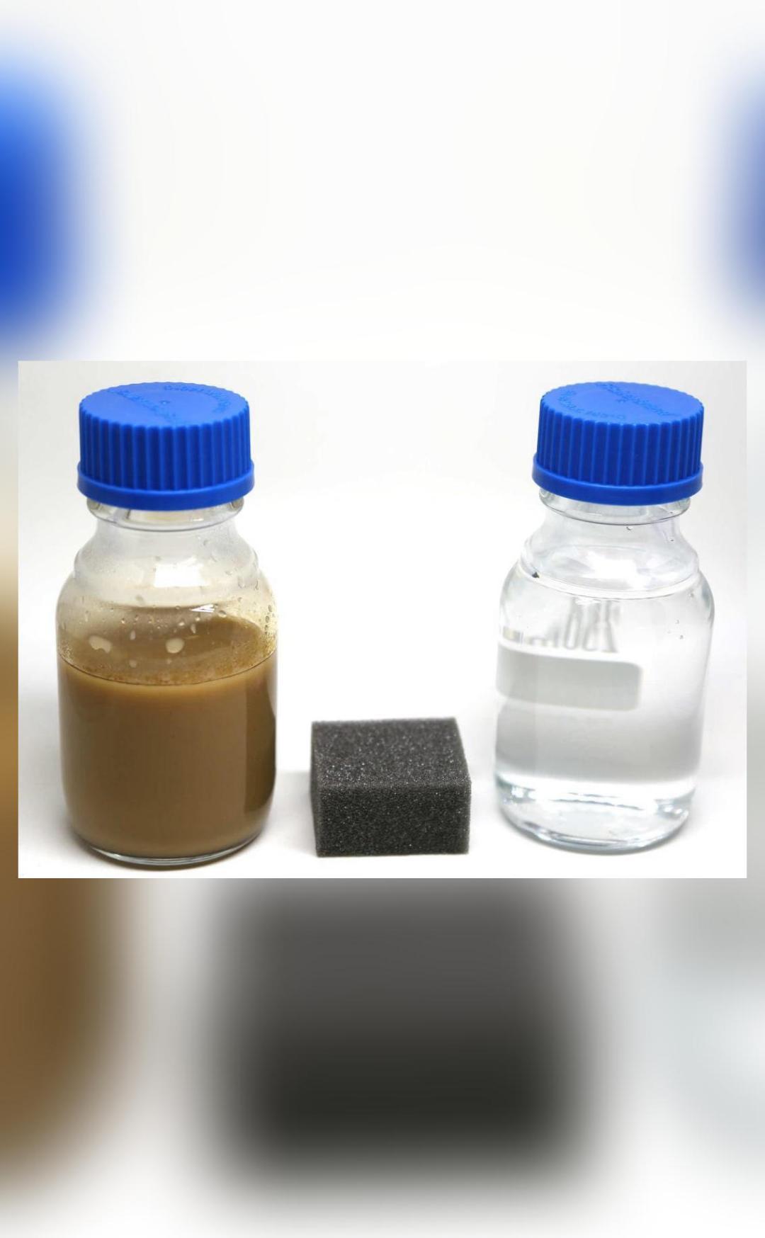 Scientists develop sponge that soaks 90% oil from wastewater | Science ...