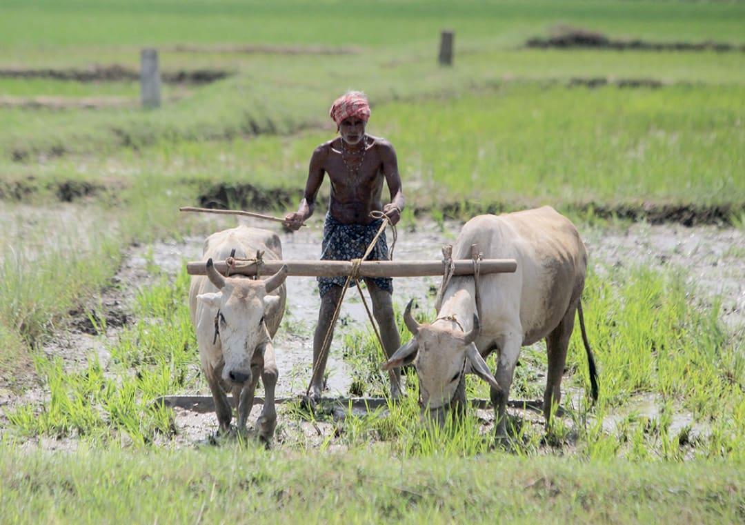 Govt permits resumption of some industries in rural areas after April 20