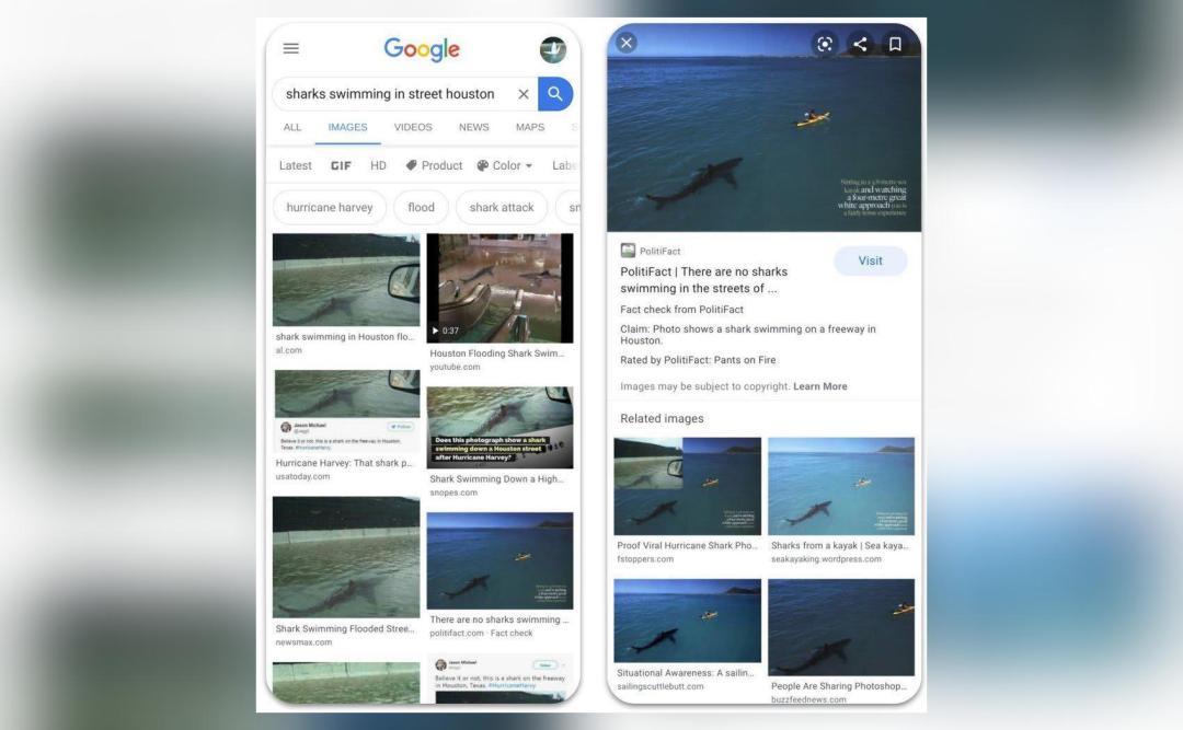 Google adds fact-check label to Google Images globally | Technology ...