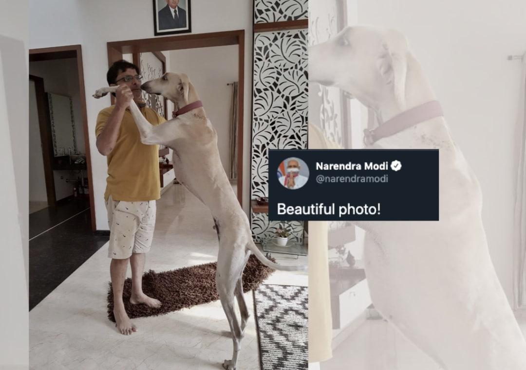 Man shares pic with Indian breed Mudhol hound, PM Modi says 'beautiful ...