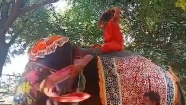Baba Ramdev falls off elephant while performing yoga, video surfaces ...
