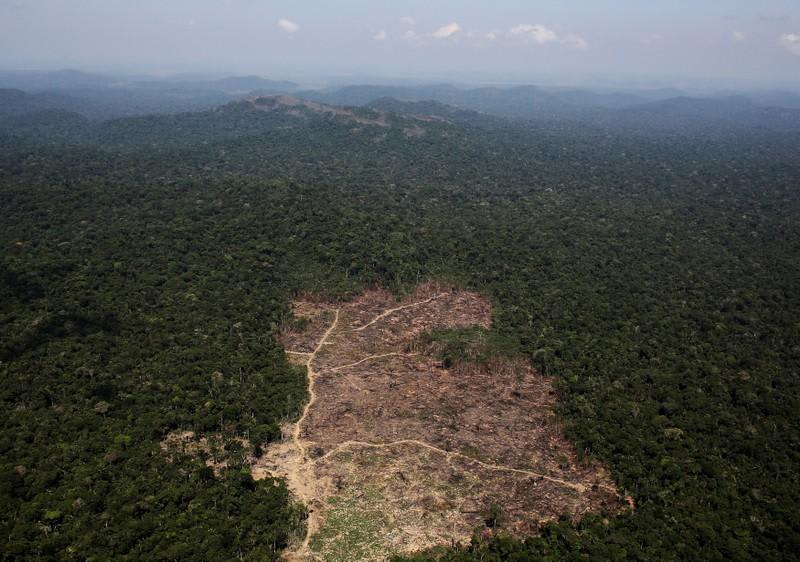Deforestation in Amazon destroyed area bigger than Spain in 18 yrs ...