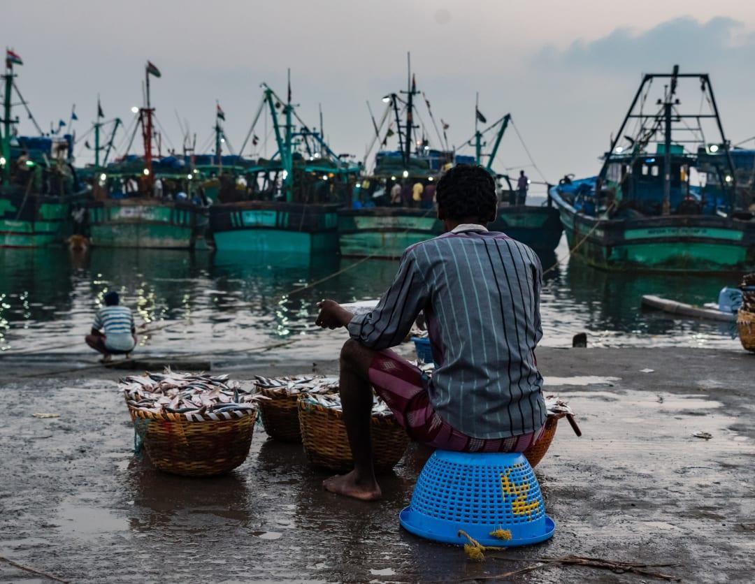 5 major fishing harbours to be developed as hubs for economic ...