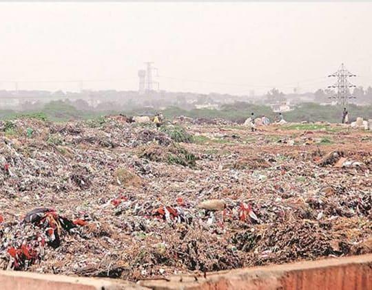 Noida Authority removes 100 tonnes of garbage from Sector 123 plot ...