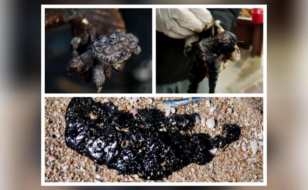 Beaches in Israel covered in tar after oil spill; pics show tar-covered ...