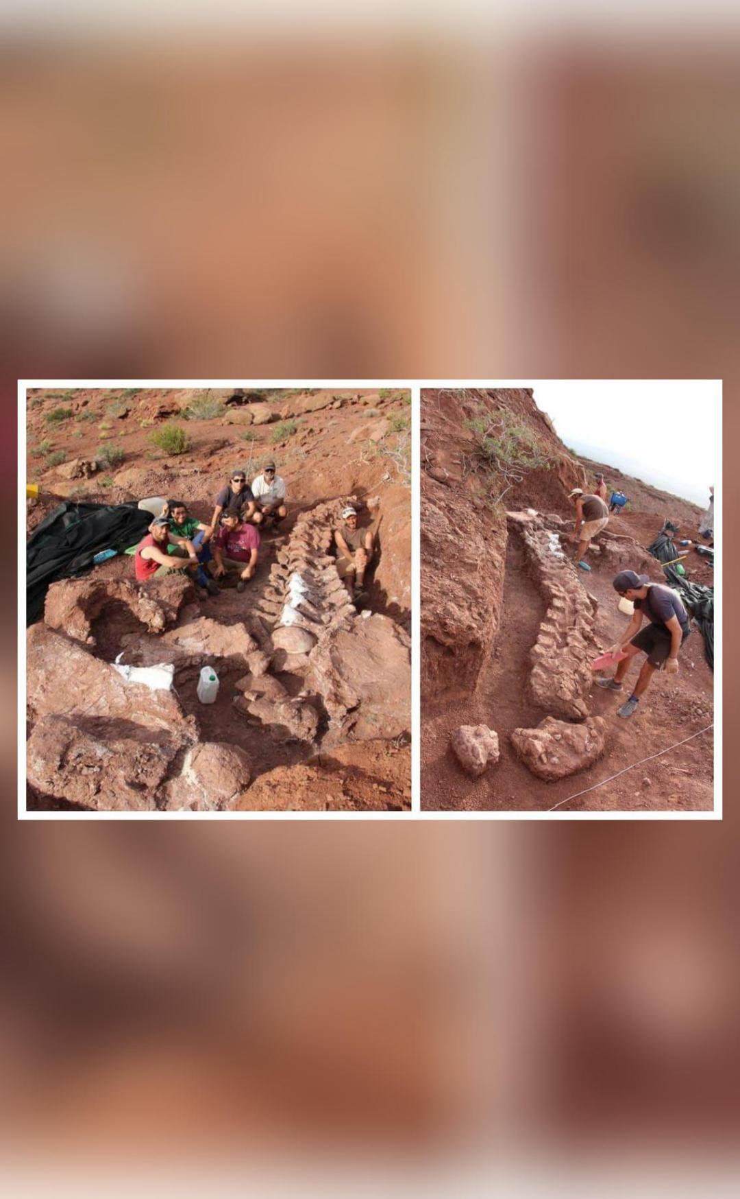 Fossils of Ninjatitan zapatai dinosaur that lived 14 crore years ago found