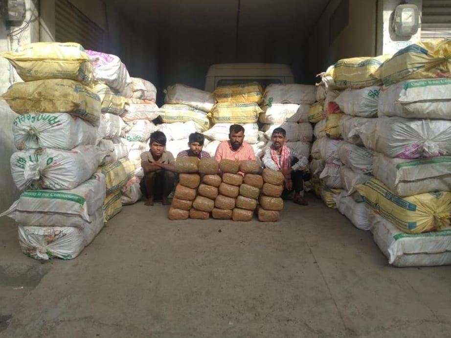 2,000 kg of ganja hidden between raw cashew nut shells seized in Hyd; 4 ...