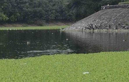 Water level of Pune's Katraj Lake lowered to avoid flooding in Ambil ...