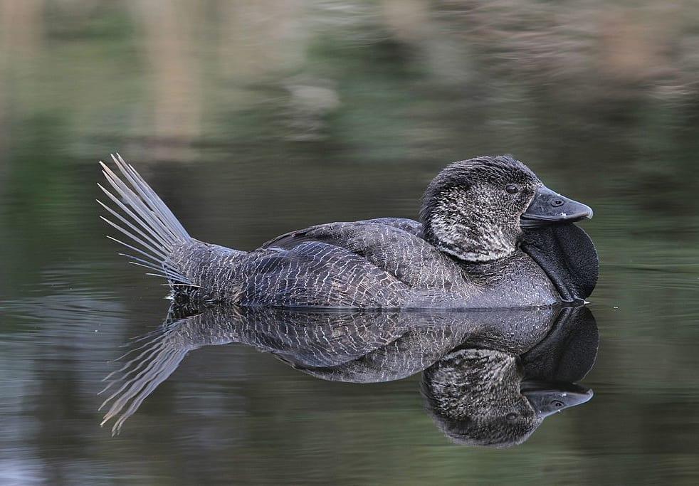 img_1630994495006_504.jpg?