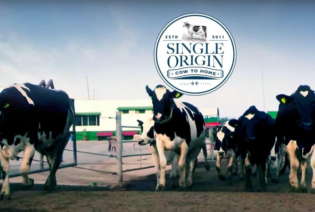 A single-origin brand, pioneering in farm-to-home concept: Pride of Cows