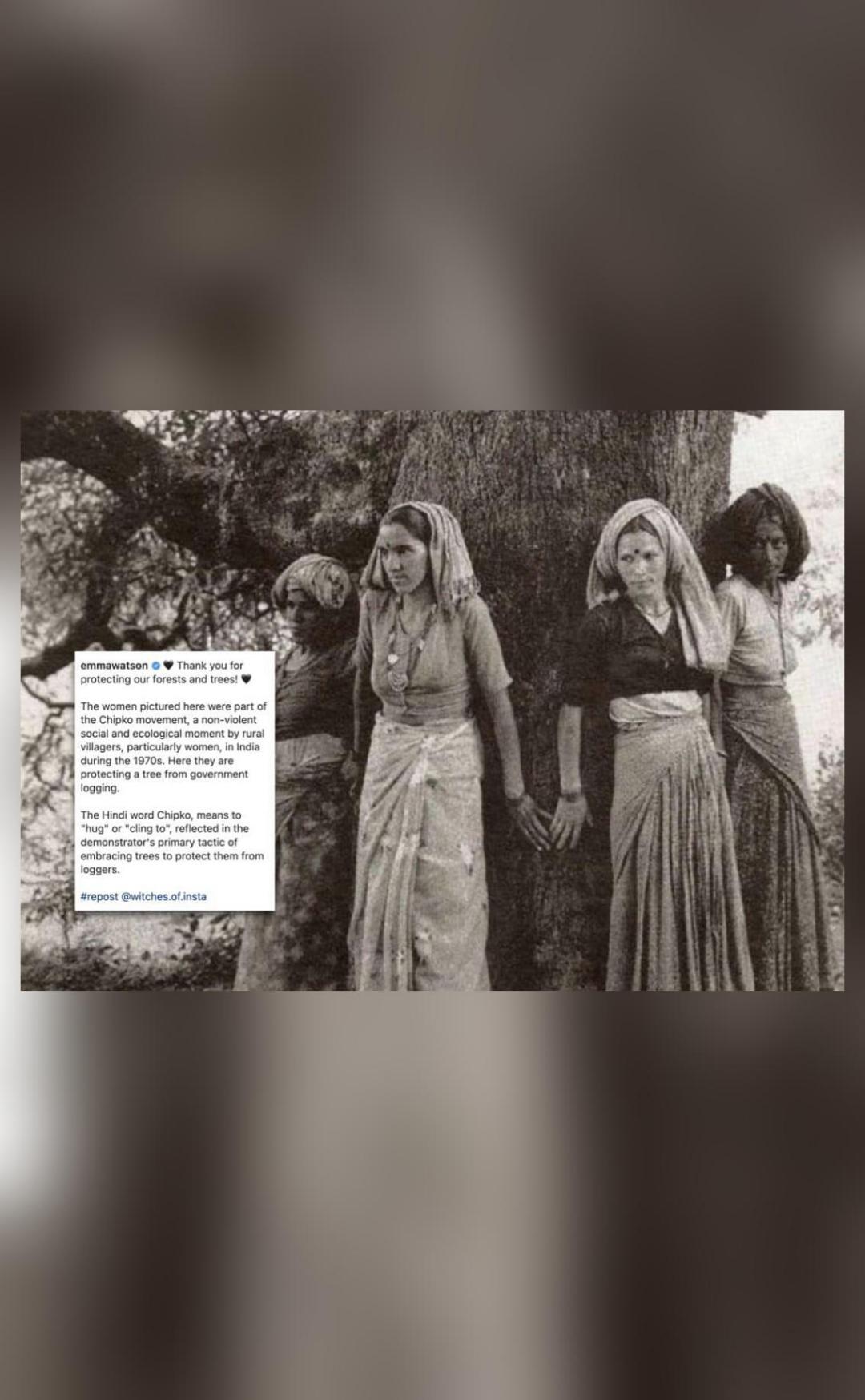 Emma Watson reposts pic of Chipko movement, praises Indian rural women