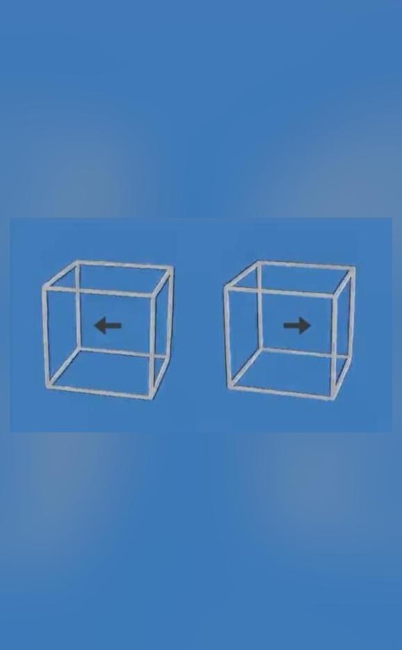 Optical illusion that makes stationary cubes appear in motion goes viral