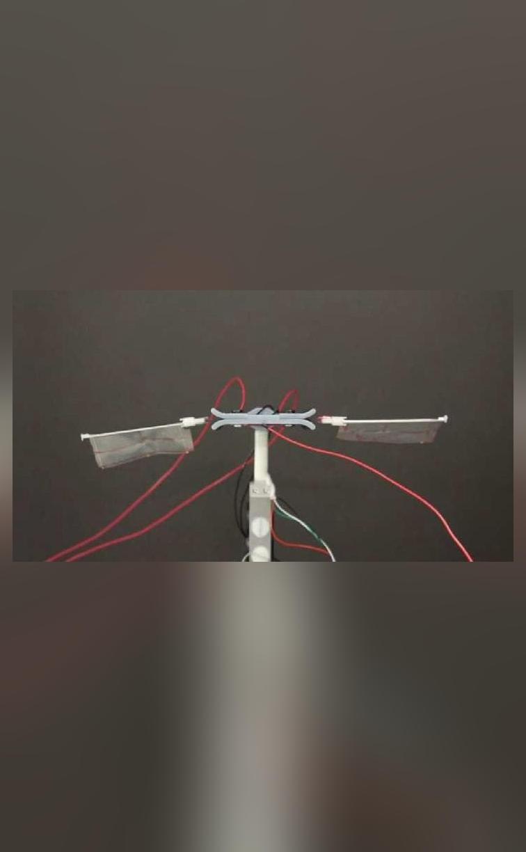 Scientists develop insect-sized flying robots with flapping wings ...