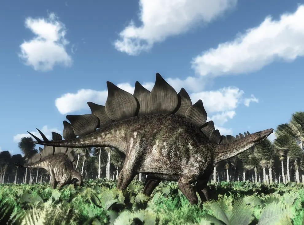 Researchers discover world's oldest-ever stegosaurus fossil in China