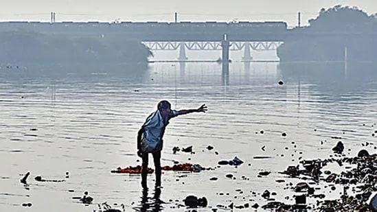 Pollution in Yamuna impacted the water supply on Friday: Delhi Jal Board