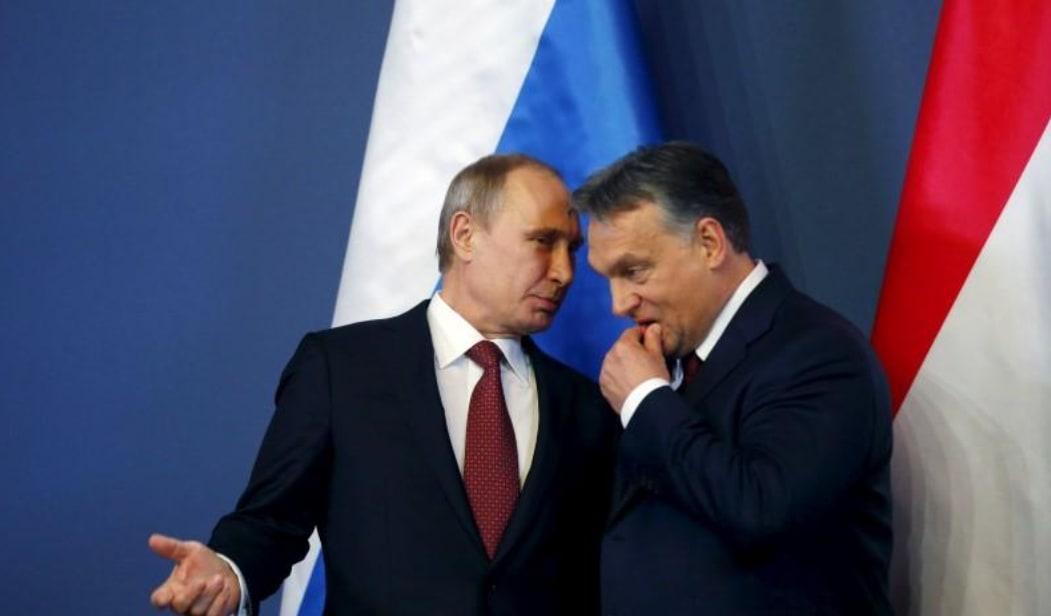 Have urged Putin to declare ceasefire in Ukraine: Hungarian PM Orban ...