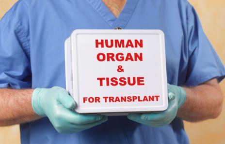 Bengaluru police provide green corridor for liver transportation ...