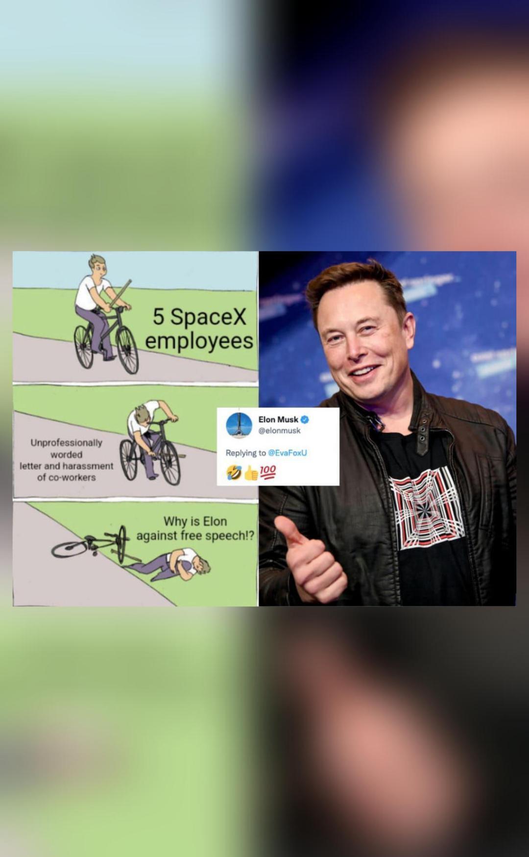 Elon Musk reacts to meme on SpaceX firing 5 employees for criticising ...