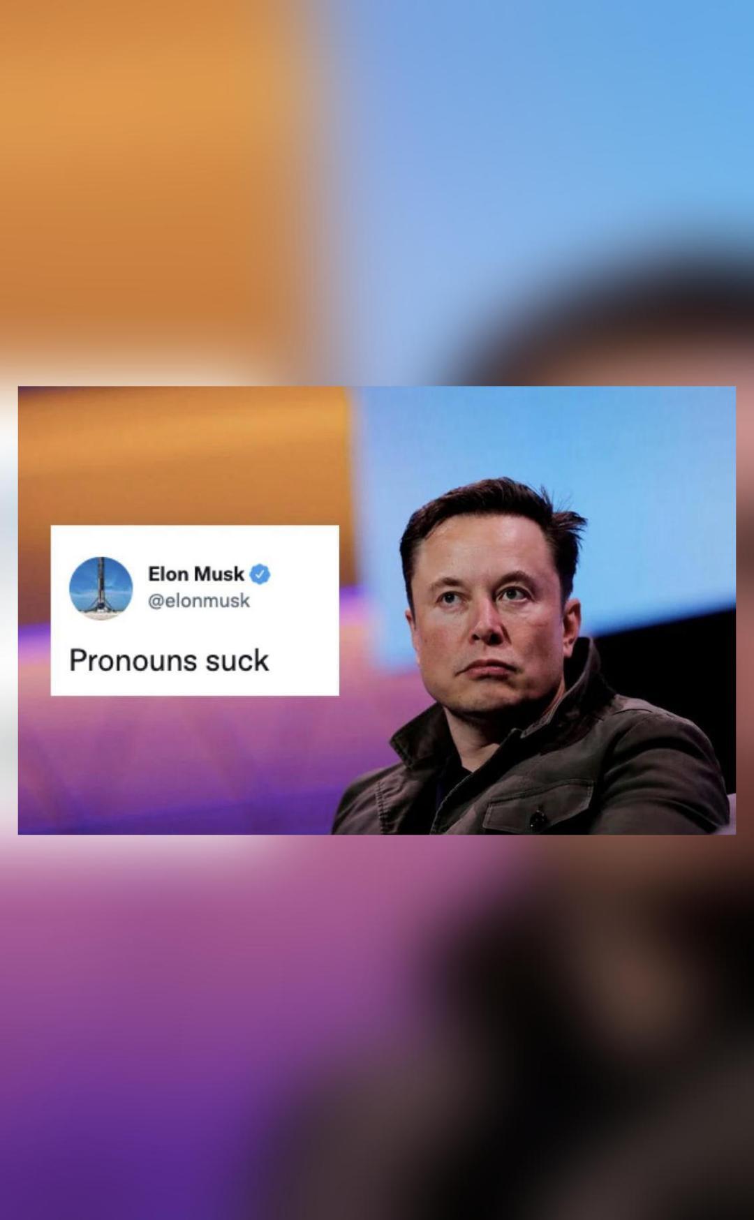 Musk's 'pronouns suck' tweet resurfaces after trans daughter's name ...