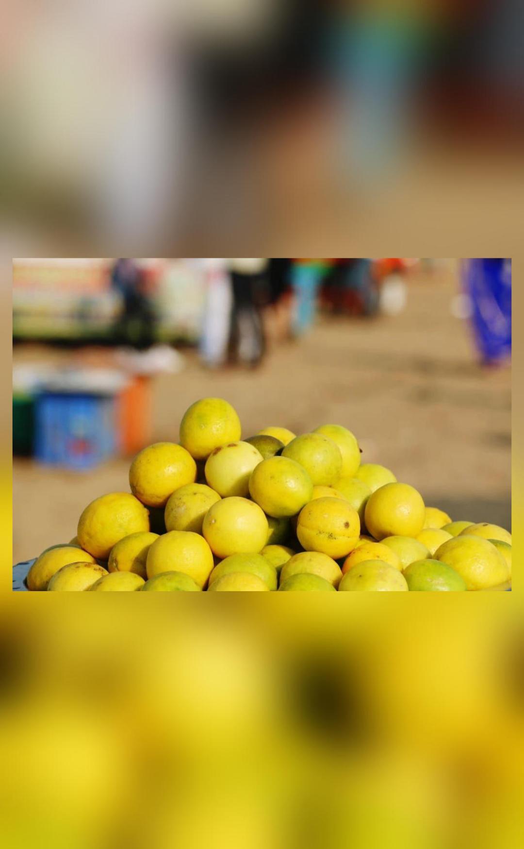 Assam exports 600-kg lemons to UK