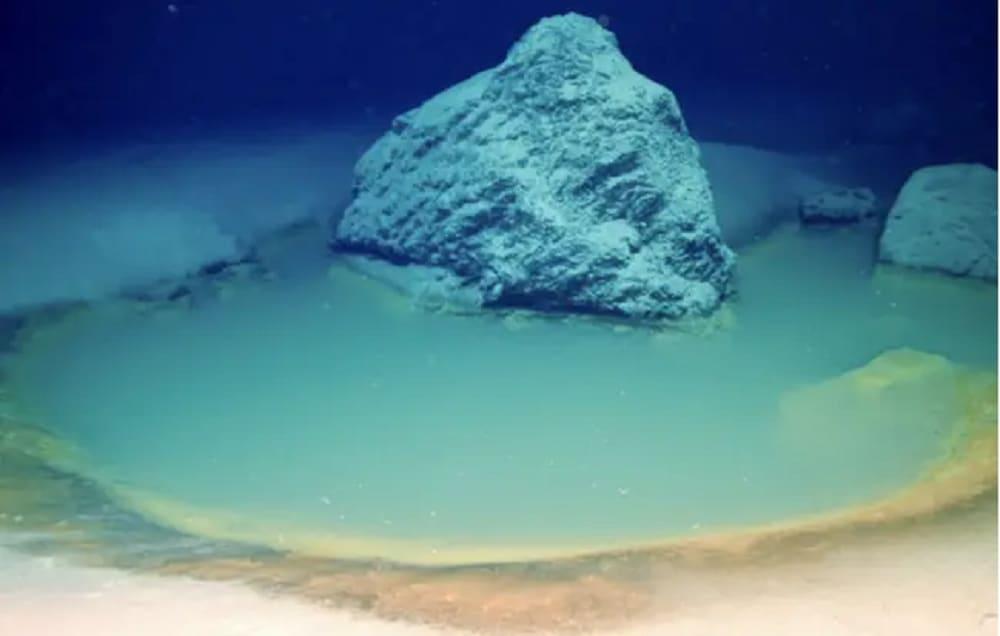 'Death pool' that kills anything that swims into it discovered at the ...