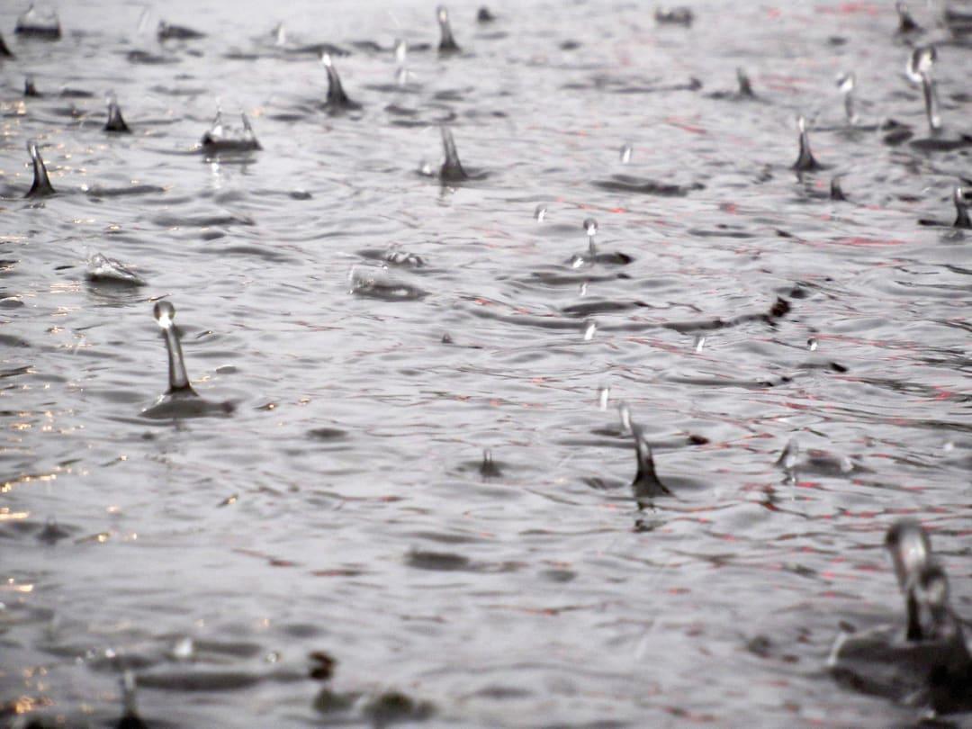 Heavy To Extremely Heavy Rainfall Warning Issued For Several States heavy-to-extremely-heavy-rainfall-warning-issued-for-several-states