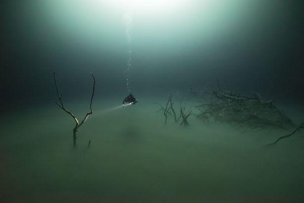 Pic shows underwater fog in Mexico, photographer says 'It's like ...