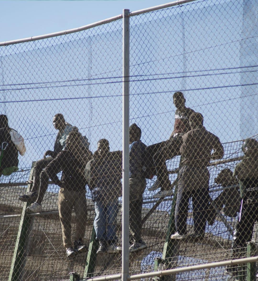 17 Indian citizens apprehended while illegally crossing into US | World ...
