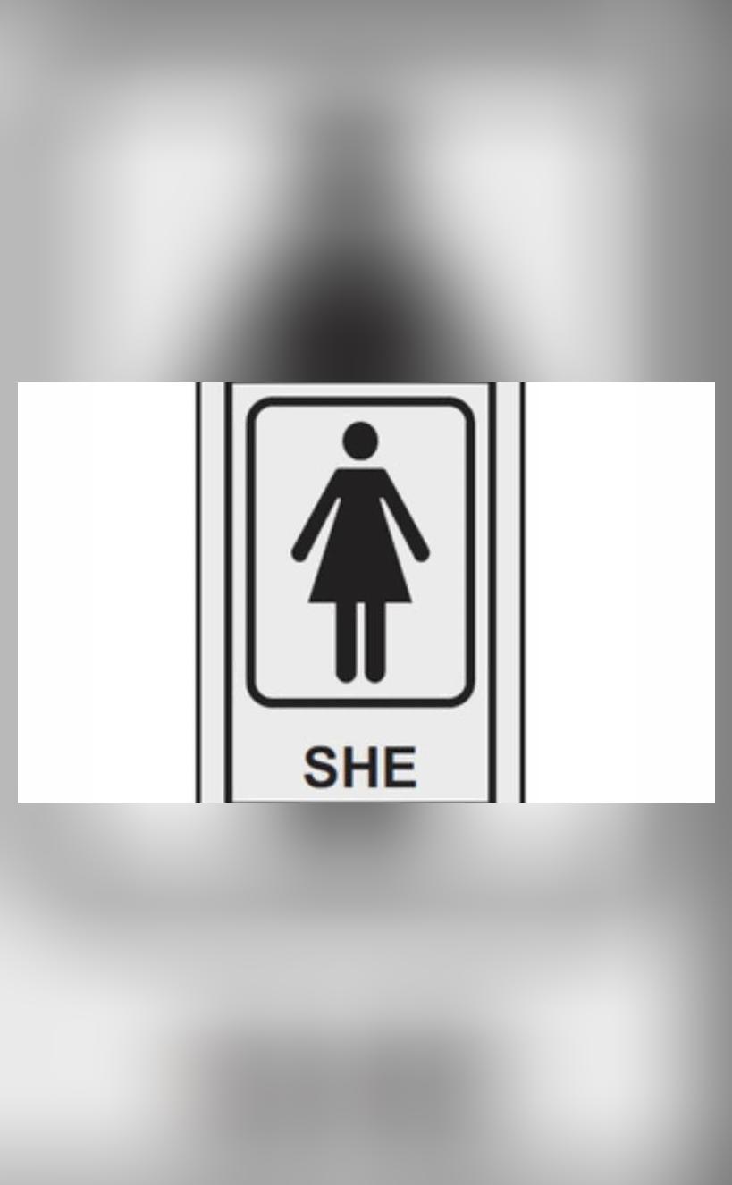 12 She mobile electric toilets rolled out in 6 GHMC zones