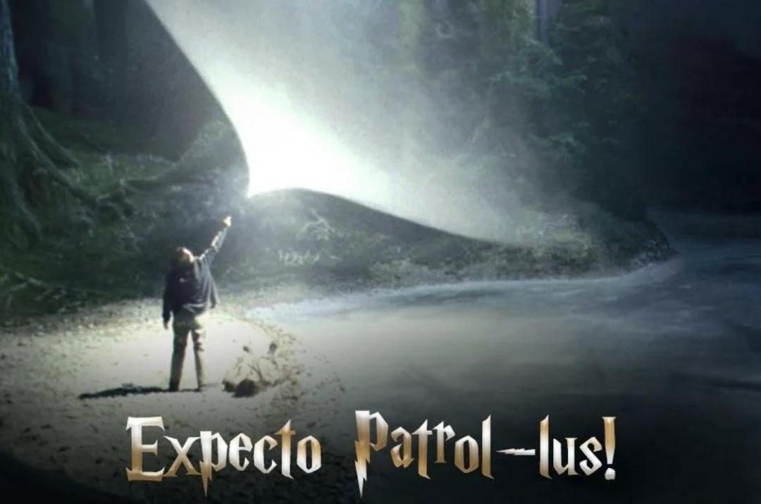 Expecto Patrol-lus: Mumbai Police in Harry Potter-themed vigilance post