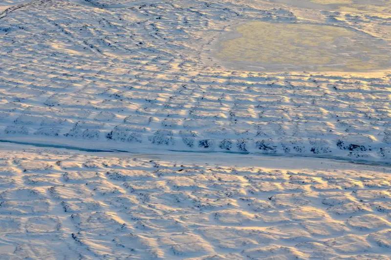 48,500-year-old 'zombie' virus revived from Siberian permafrost ...