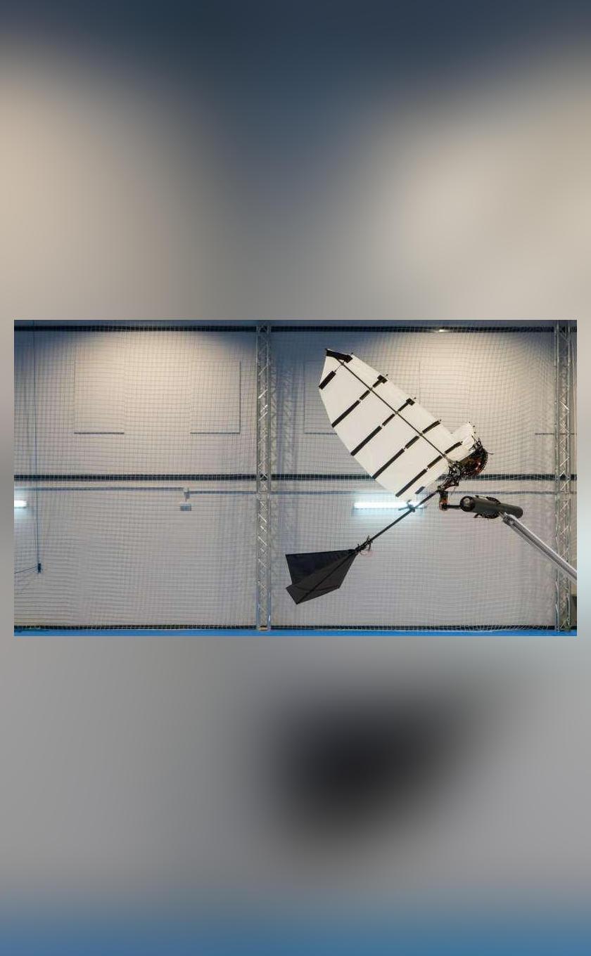 Winged robot that can land like birds on branches made: EPFL | Science ...