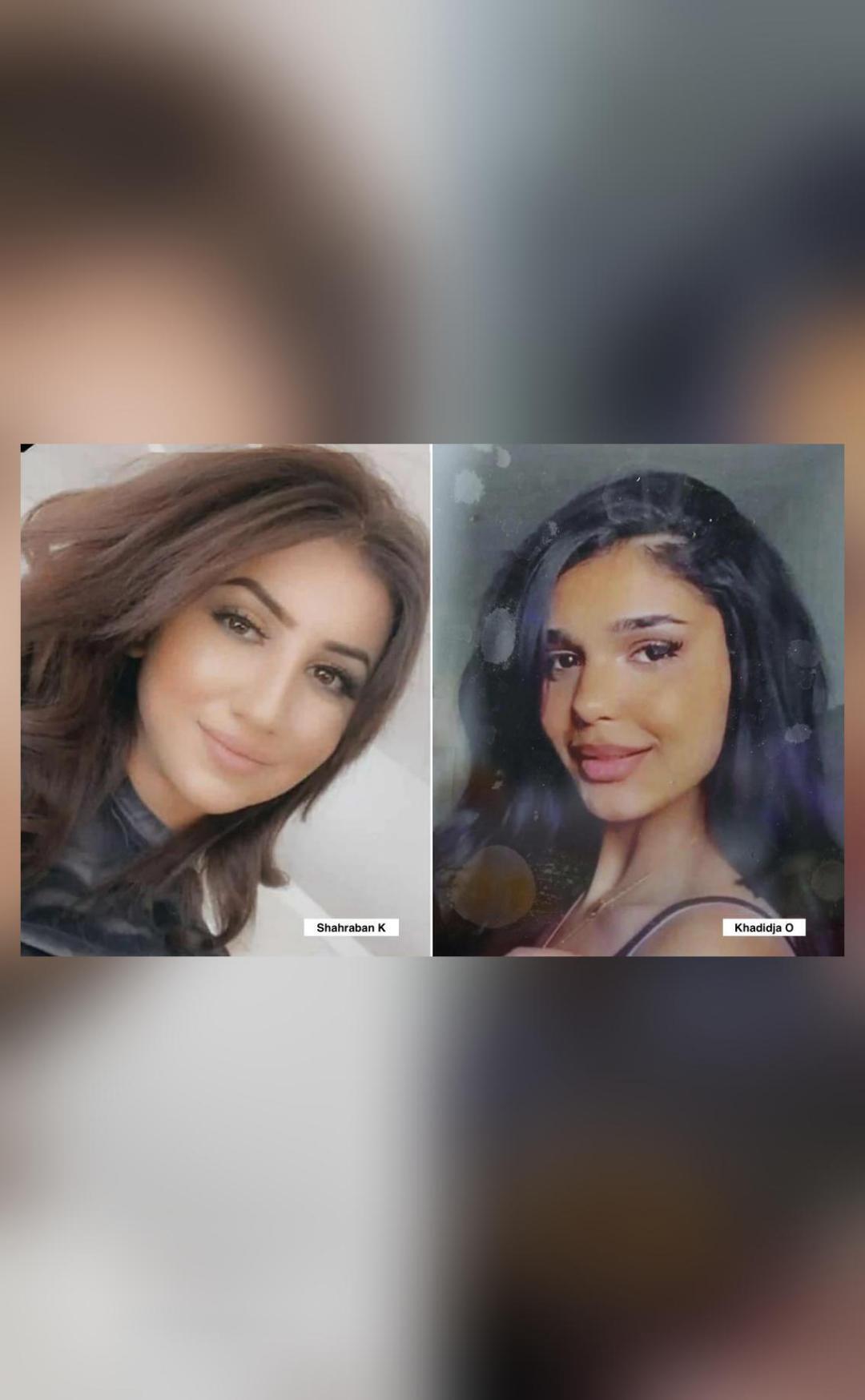 German woman allegedly fakes own death by killing lookalike found on ...