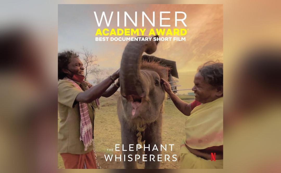 These 2 women made India proud: Rahul on 'The Elephant...' win ...