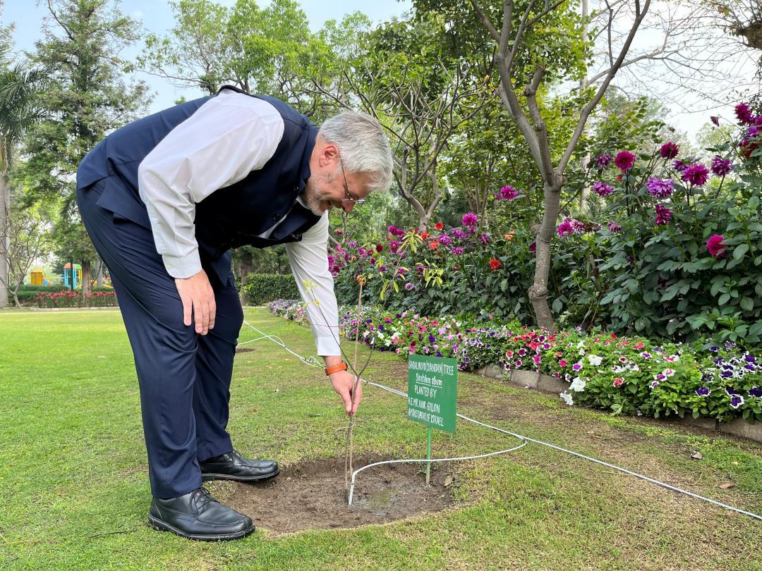 Israel donates drip irrigation system to Delhi's Children's Park ...
