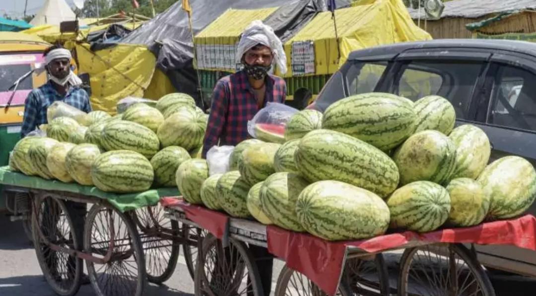 Tomato, watermelon prices shot up in B'luru due to rise in demand