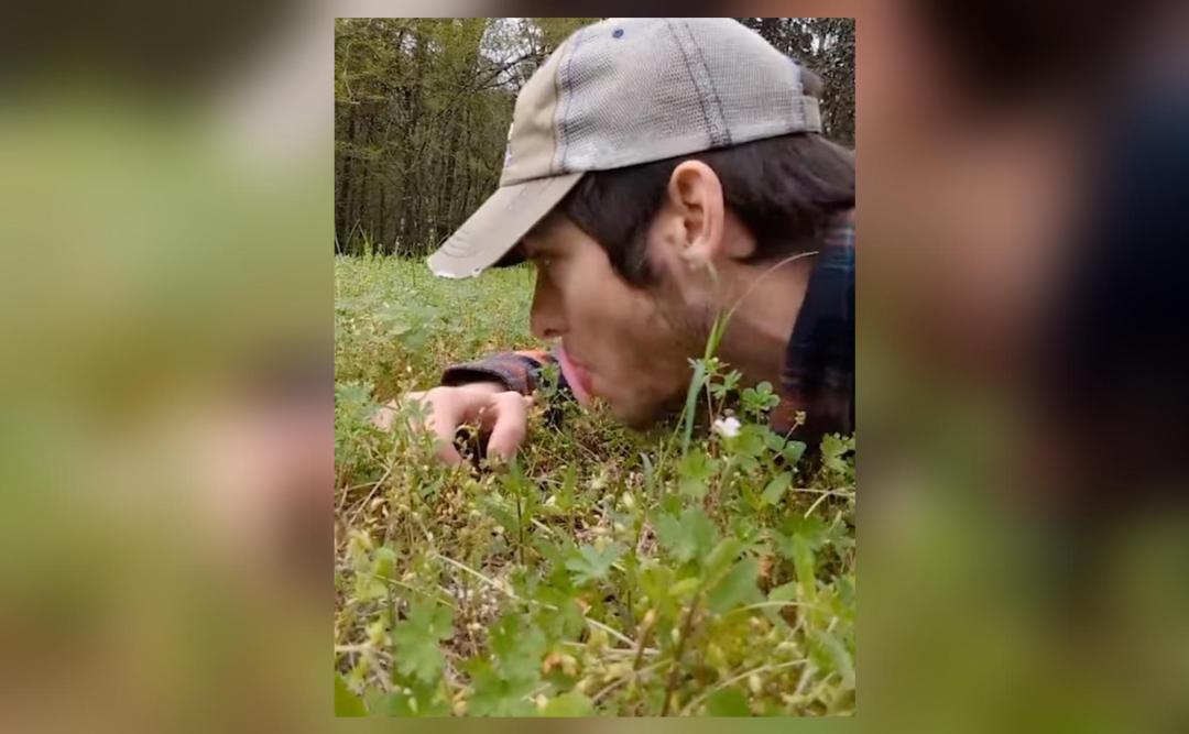 US man creates device that allows him to 'kiss' bugs