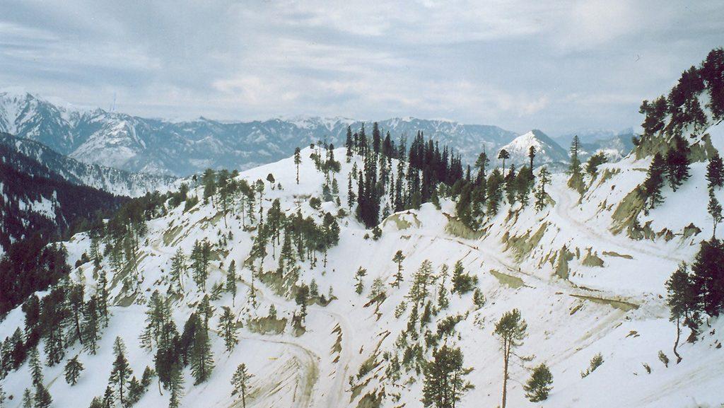 img_1682075554743_546.jpg?