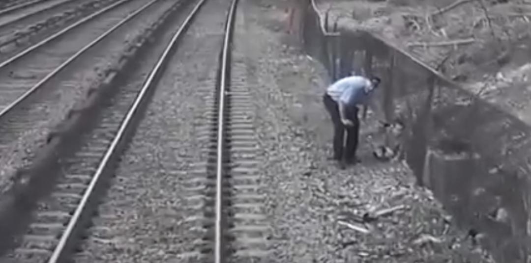 3-yr-old autistic boy rescued from train tracks in US' New York