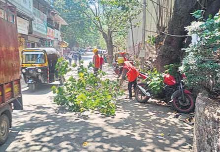 Over 24,000 trees trimmed in Mumbai as part of pre-monsoon works ...