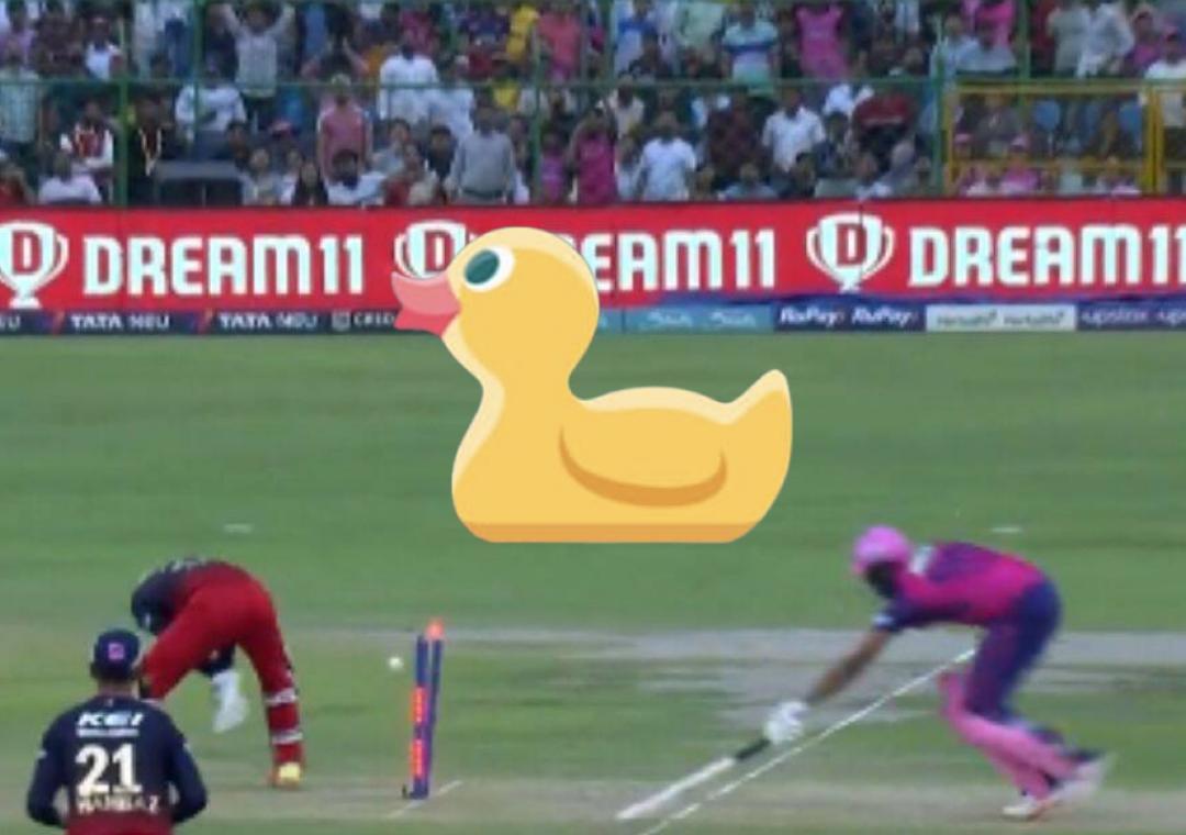 What are the different types of ducks in cricket?