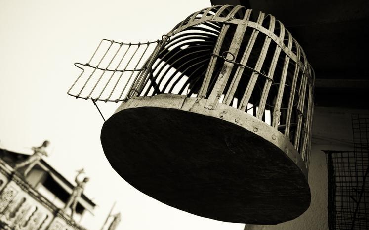 Indian-origin man jailed for throwing cage at girlfriend in S'pore
