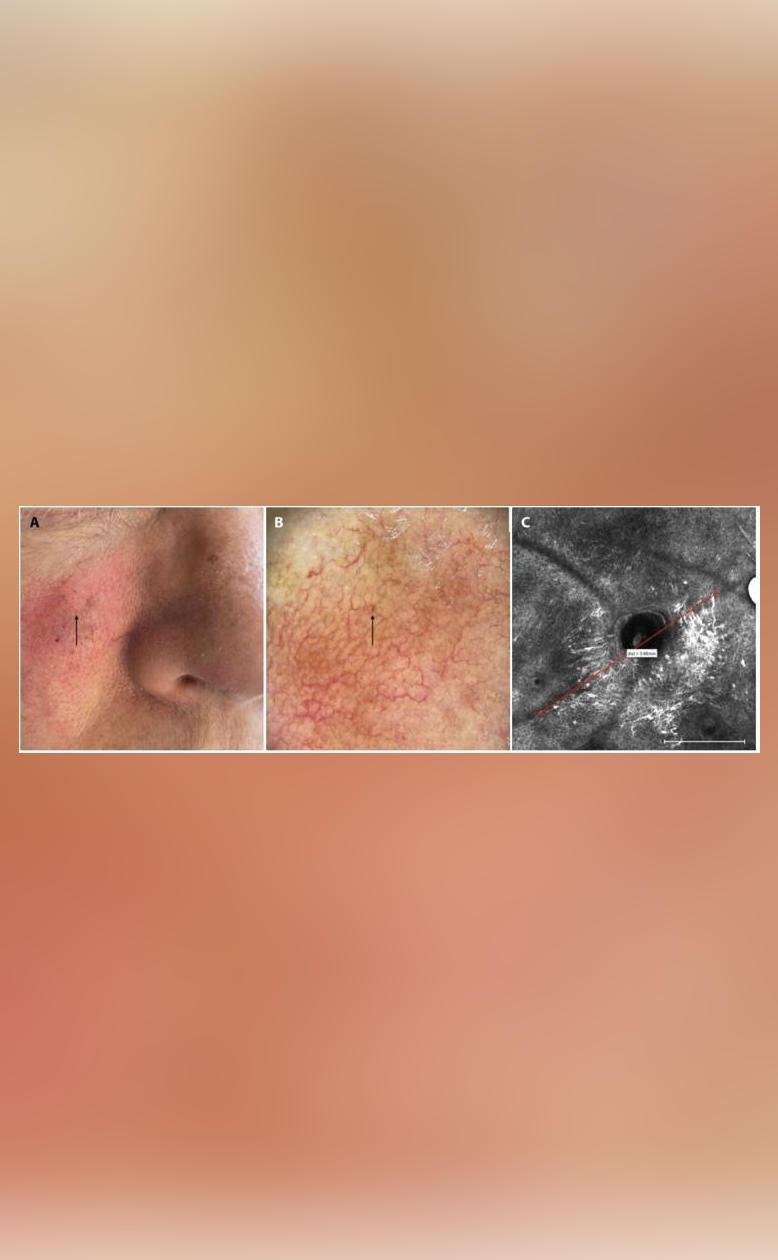 img_1683034121808_600.jpg?