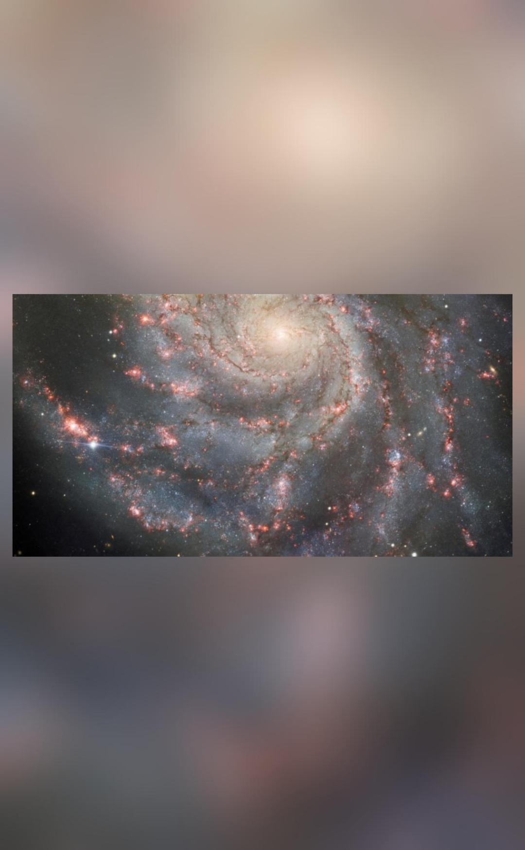 Pic shows closest supernova seen from Earth in 5 years