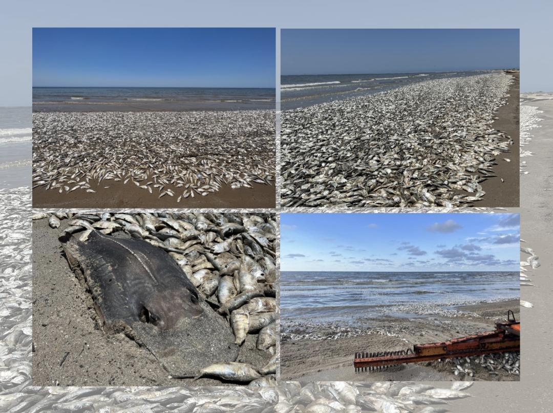 img_1686576134999_718.jpg?