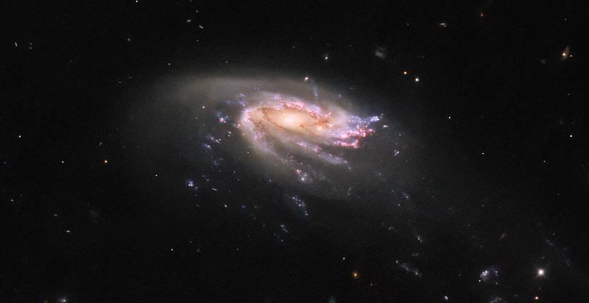 Jellyfish galaxy captured by Hubble Space Telescope; pic surfaces ...